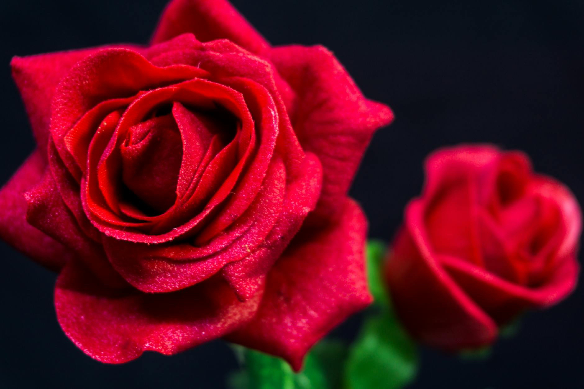 Fear Has No Place Here – Soul Path Insights