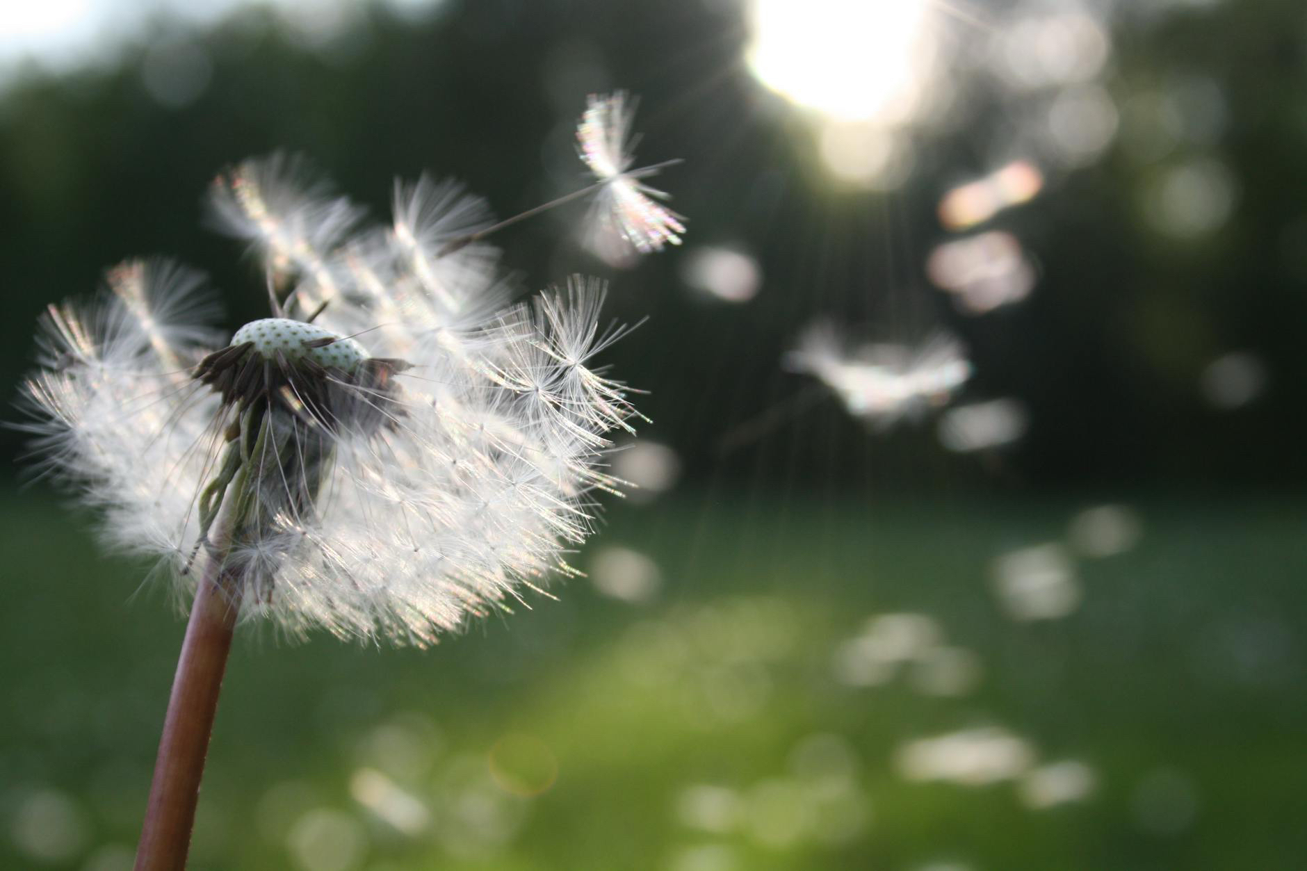 🌬️When It’s Just Breeze – Soul Path Insights